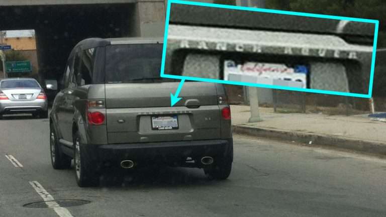 20+ Hilarious Honda Element Memes That Will Make You LOL