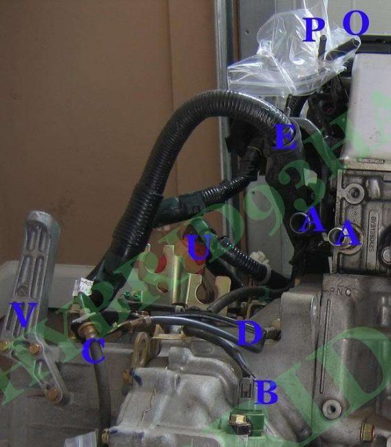 Honda Element K24 Part and Sensor Location Master List – Honda Element ...